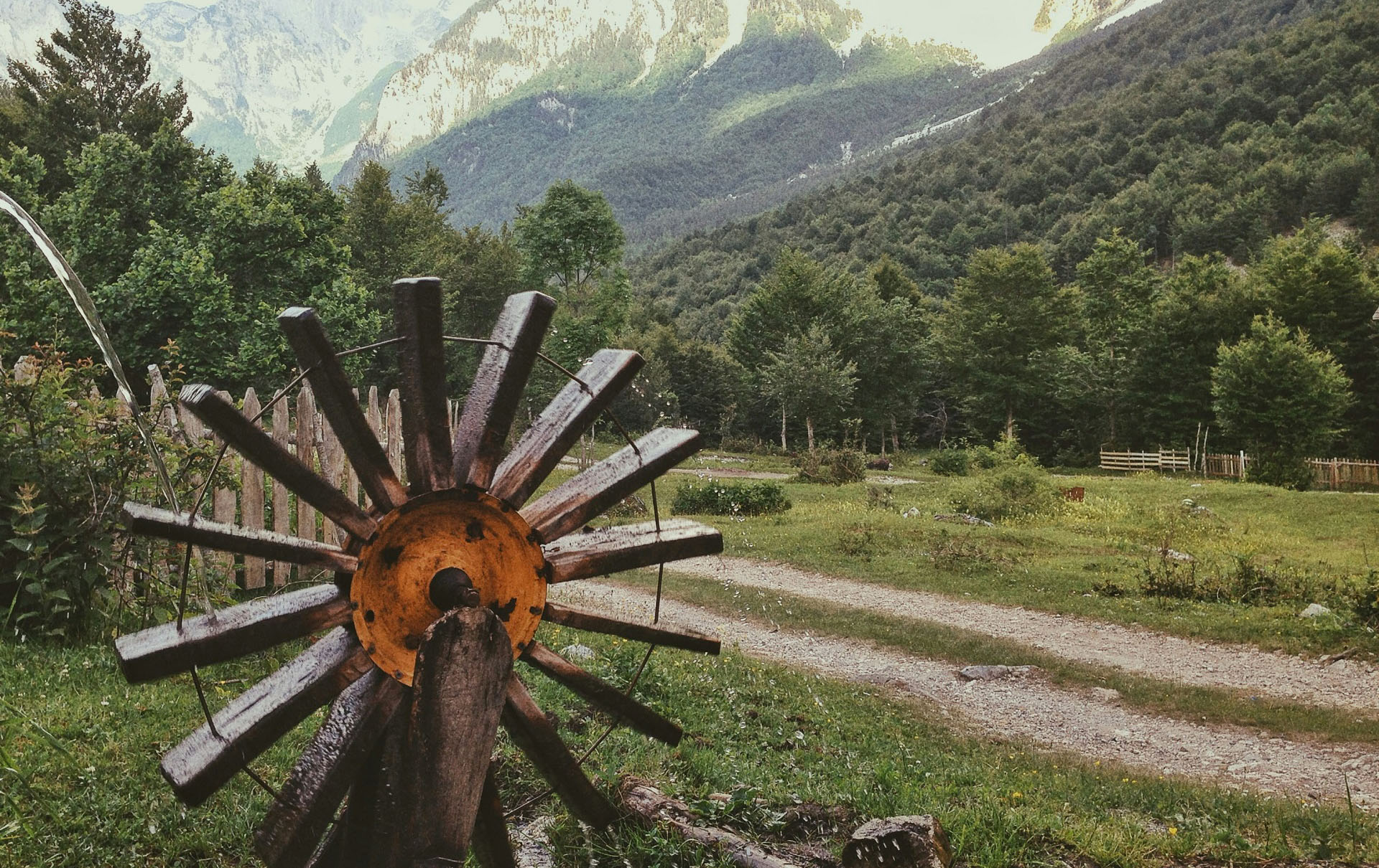 Tailor Made Products - Elite DMC